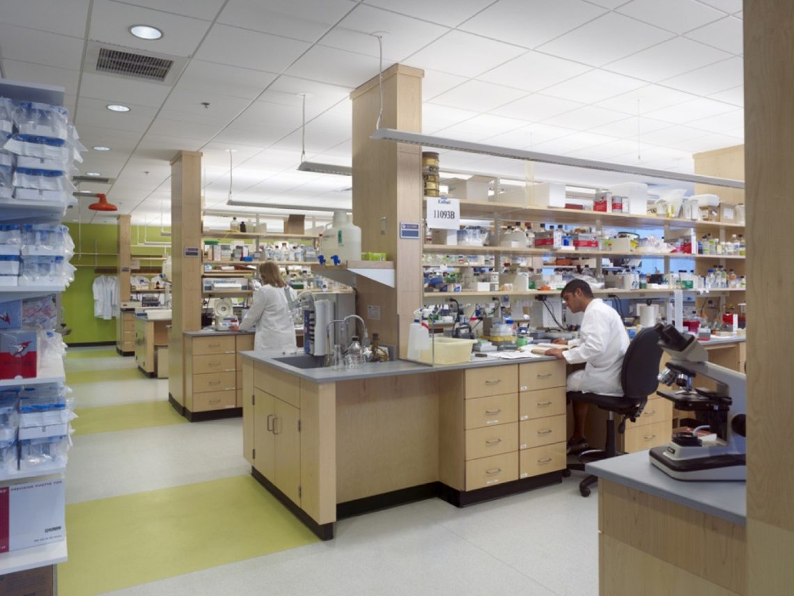 Harvard/BIDMC – Neurology Fellowship Training Programs – BIDMC Neurology